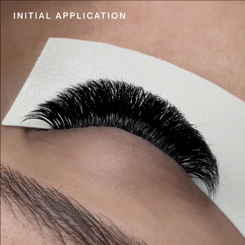 Lash Alchemist - Lashbox LA