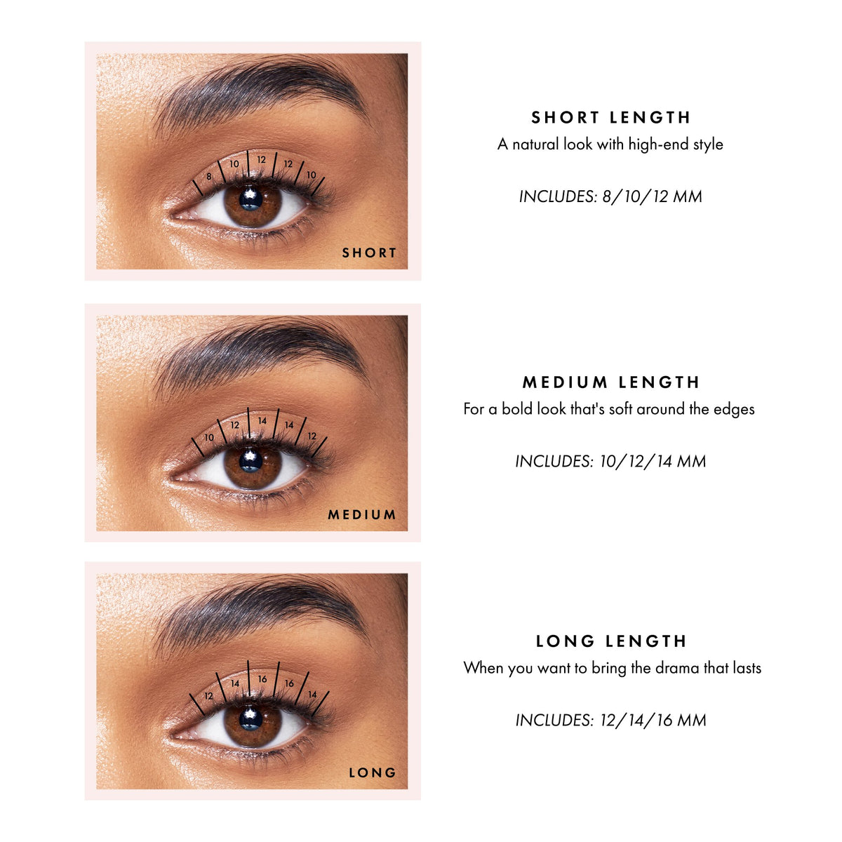 Lace it Up Vegan Segment Lashes Starter Kit - Lashbox LA