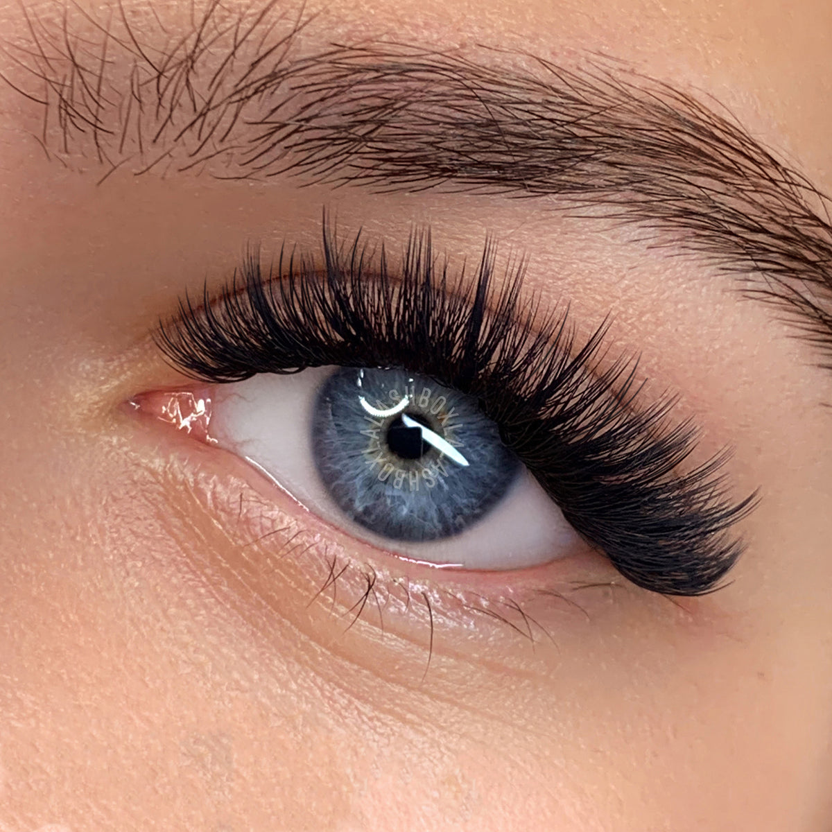 Hollywood Hybrid Kit - Lashbox LA